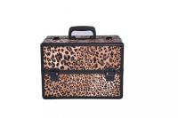 China Multiple Colour Makeup Train Case Plastic Handle Beauty Case Four Trays For Women for sale