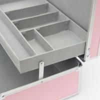 China Pink Aluminum Euipment Tool Storage Box Carrying Case Aluminium Customized for sale