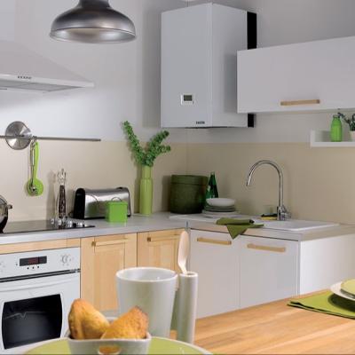 China Multi Functional Gas Wall Hung Boiler 145W 8L For European Market for sale