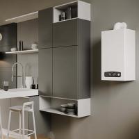 China Luxurious Appearance Wall Hung Gas Boiler With LCD Display Radiator Burning Style for sale