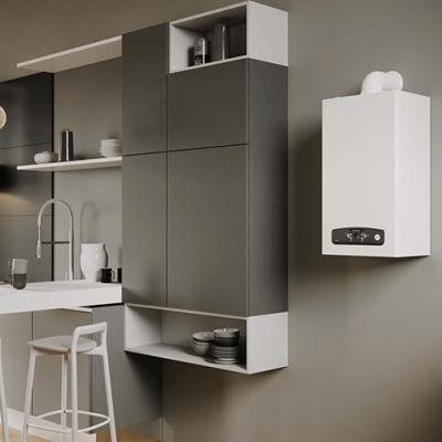 China Luxurious Appearance Wall Hung Gas Boiler With LCD Display Radiator Burning Style for sale