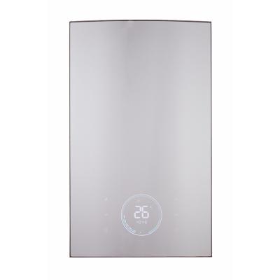 China Balanced Flue Type Wall Mounted Gas Boiler Easy Installation for sale