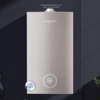 China Variable Heating Capacity Wall Hung Gas Boiler Environmentally Friendly for sale