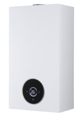 China A+ Energy Efficiency Wall Mounted Gas Heater Indoor With Variable Heating Capacity Programmable for sale