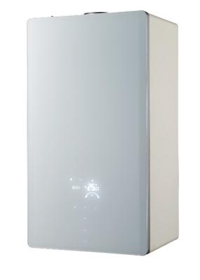 China Low Noise Variable Power Output Combi Boiler Gas Fuel Type for sale