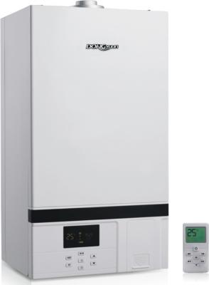 China Remote Control Wall Hung Gas Boiler 16-32kW for Heating and Hot Water Supply with 88% Efficiency for sale