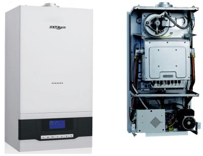 China Energy Saving Wall Mounted Gas Boiler Large Safety Factor With Low Voice for sale