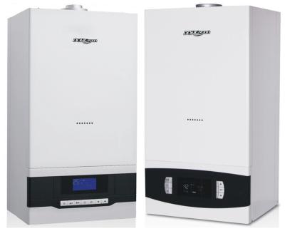 China Efficient Wall Hung Gas Boiler Heat Exchanging Structure For Decreasing Heat Loss for sale