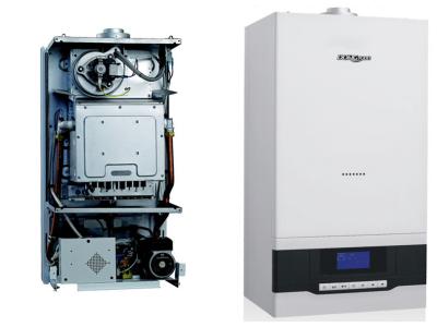 China Durable Wall Hung Gas Boiler For Providing Home Heating And Shower Water for sale
