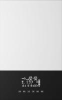 China BW316E 16KW Electric Combi Boiler with 98% Efficiency for 160sq.m. Heating and Hot Water for sale