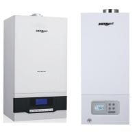 China Adjustable Hot Water Capacity Wall-Mounted Gas Boiler with Low Noise Level for sale