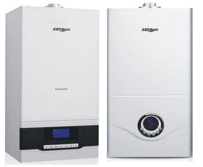 China Adjustable Hot Water Capacity Wall-Mounted Gas Boiler with Low Noise Level for sale