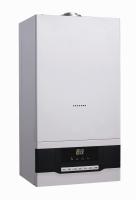 China High Thermal Efficiency Wall Hung Gas Boiler For Heating And Shower Water for sale