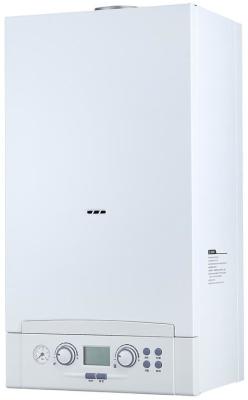 China Intelligent Program Wall Hung Gas Boiler For Heating And Shower for sale