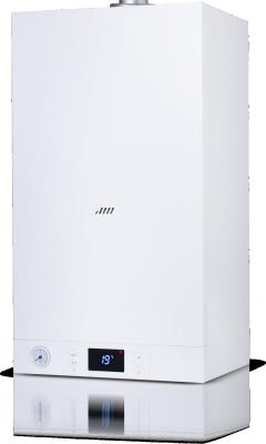 China Multi Function Wall Hung Gas Boiler Propane Gas Water Heater for sale