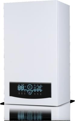 China 6L Expansion Tank 20KW Wall Hung Gas Boiler For Bathroom for sale