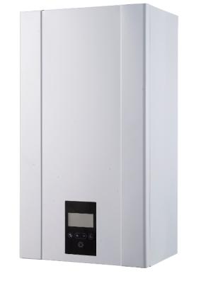 China 16KW Constant Propane Wall Hung Gas Boiler For Washroom for sale