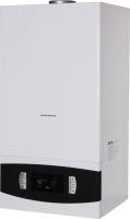 China 24KW Wall Mounted Gas Boiler with Remote Control 2800Pa Pressure 80-160m² Heating Area Stainless Steel for sale