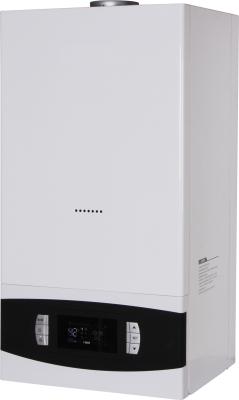 China 24KW Wall Mounted Gas Boiler with Remote Control 2800Pa Pressure 80-160m² Heating Area Stainless Steel for sale
