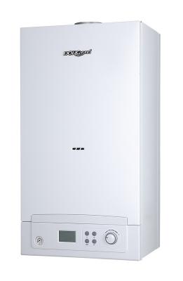 China Stainless Steel Wall Mounted Gas Boiler With Remote Controlled for sale
