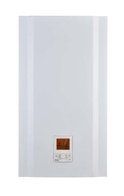 China Stainless Steel Wall Hung Gas Boiler For Space Heating Domestic Hot Water for sale