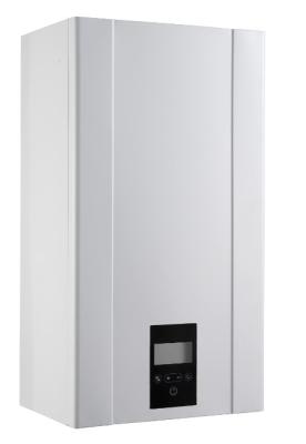 China ISO14001 LPG Kitchen Wall Hung Gas Boiler 0.03mpa - 0.8mpa Water Pressure for sale