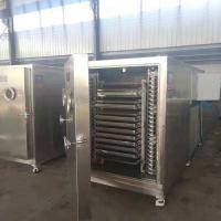 China Vacuum Lyophilizer Industrial Freeze Dryer Machine for sale