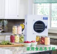 China Electric Heating Home Freeze Dryer For Home Food Storage And Preservation for sale
