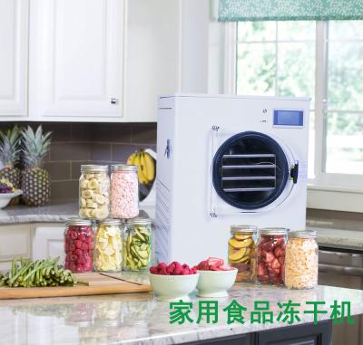 China Electric Heating Home Freeze Dryer For Home Food Storage And Preservation for sale