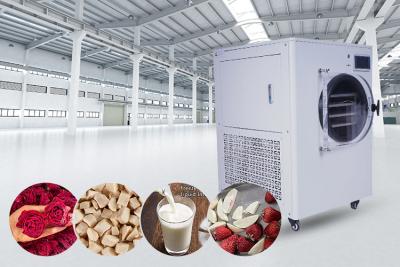 China LCD Display  Refrigeration System Household Freeze Dryer For Home And Food Preservation for sale
