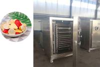China 304 SUS Industrial Freeze Dryer With  Refrigeration System for sale