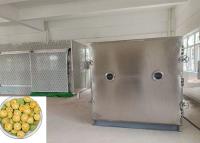 China 100kg/Batch Lyophilizer Freeze Dry Machine With  Unit for sale
