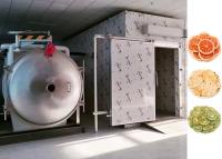 China Stainless Steel Vacuum Freeze Drying Machine 200 KG/Batch for sale
