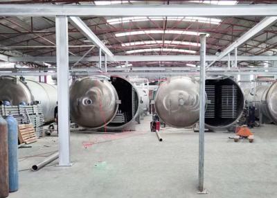 China 100Kg 200Kg Food Vacuum Industrial Freeze Drying Equipment for sale