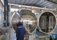 China Food Vacuum Industrial Freeze Drying Equipment Fruits Vegetables Meat for sale