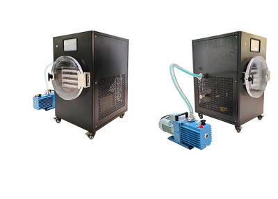 China Intelligent Curve Chart Home Size Mini Freeze Dryer Machine for sale
