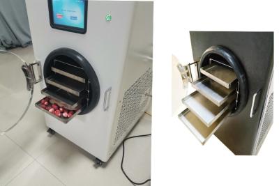 China Powerful  Refrigeration System Mini Freeze Vacuum Dryer for sale