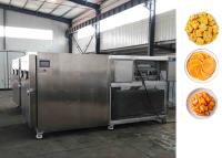 China Electric Heating Vacuum Freeze Drying Machine Low Noise Level for sale