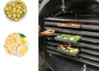 China Fruits Vegetables Industrial Freeze  Machine 100kg/Batch for sale