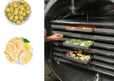 China Fruits Vegetables Industrial Freeze  Machine 100kg/Batch for sale