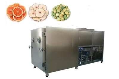China 200Kg/Batch Vegetable Dry Freezer Machine Air Cooling for sale