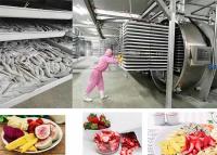 China PLC Controlled Food Vacuum Food Freeze Dryer 200kg/batch for sale