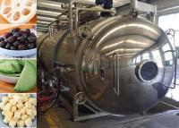 China 100KG Vegetable Vacuum Industrial Food Freeze Dryer for sale