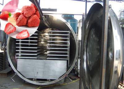 China 300Kg Vacuum Atla Industrial Food Vegetable Dry Freezer Machine for sale