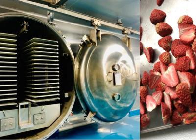 China Commercial Food Vegetable Freeze Dryer Air Cooling for sale