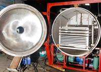 China 500KG Remote Control Vacuum Industrial Scale Freeze Dryer for sale