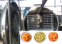 China Animal Vacuum Lyophilizer Freeze Dryer PLC Control for sale