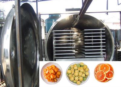 China Animal Vacuum Lyophilizer Freeze Dryer PLC Control for sale