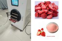 China 6kg Mini Freeze Dryer PLC Control  Electric Heating for sale