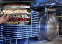 China Industrial-Grade Food Vacuum Freeze Dryer Energy Saving Lyophilizer for sale
